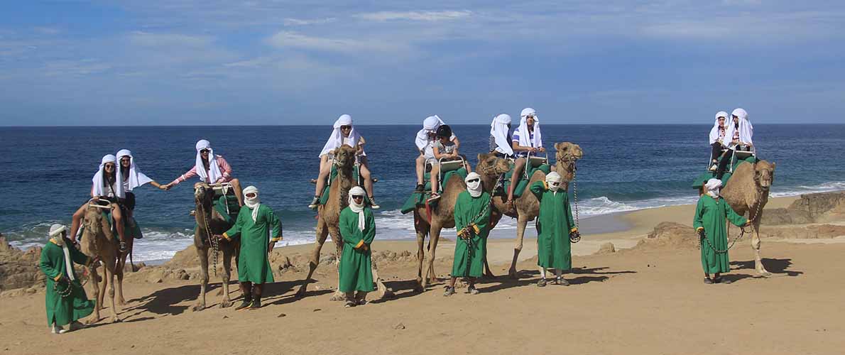 Camel Ride Tour In Cabo San Lucas